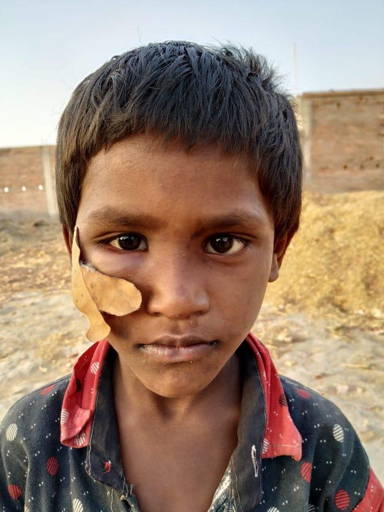 ASAP Art | Harvesting Images: Field Notes with Dharmendra Prasad